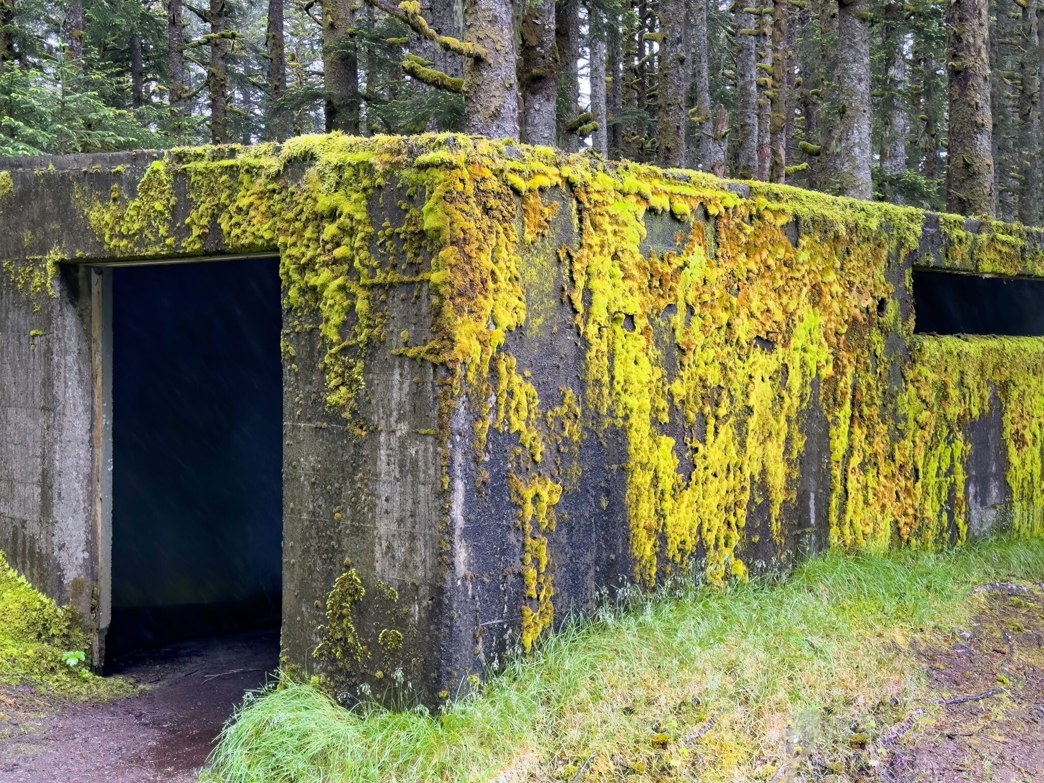 Natives of Kodiak, Inc. – an Alaska Native Corporation headquartered in ...